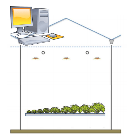 Greenhouse Computer Vision and Simulation challenge | Quantum