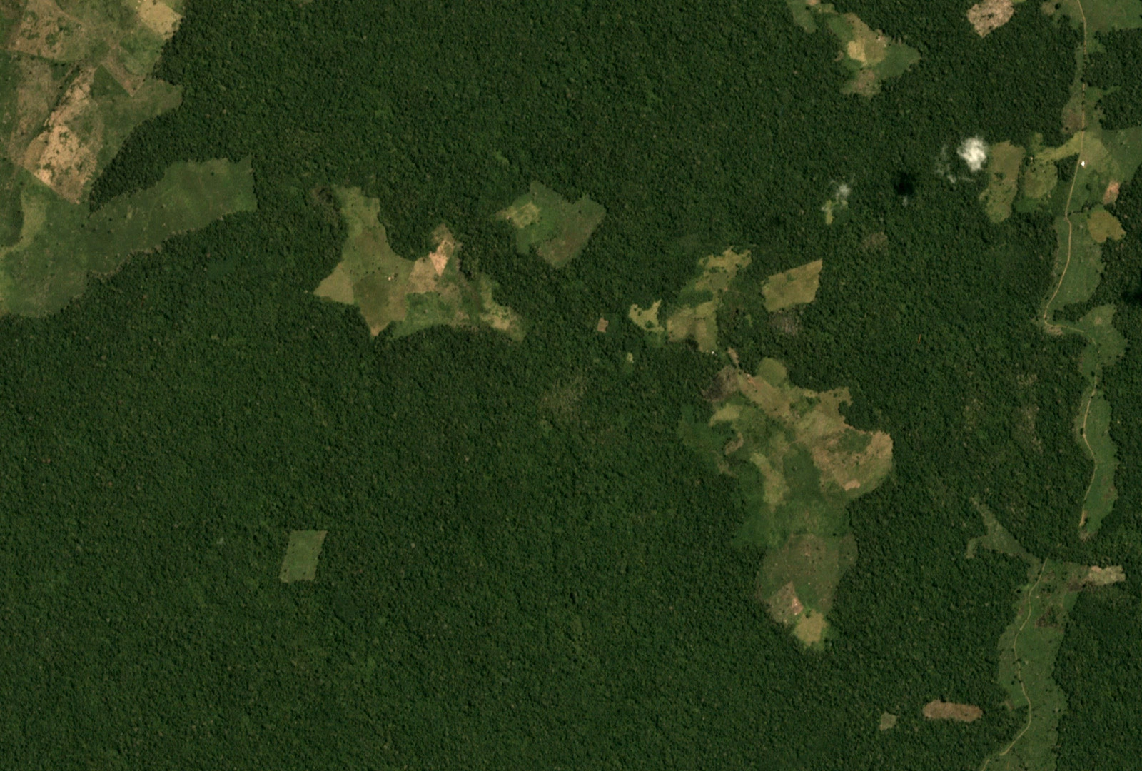 Sentinel 2 And Planetscope Imageries For Deforestation Detection Quantum